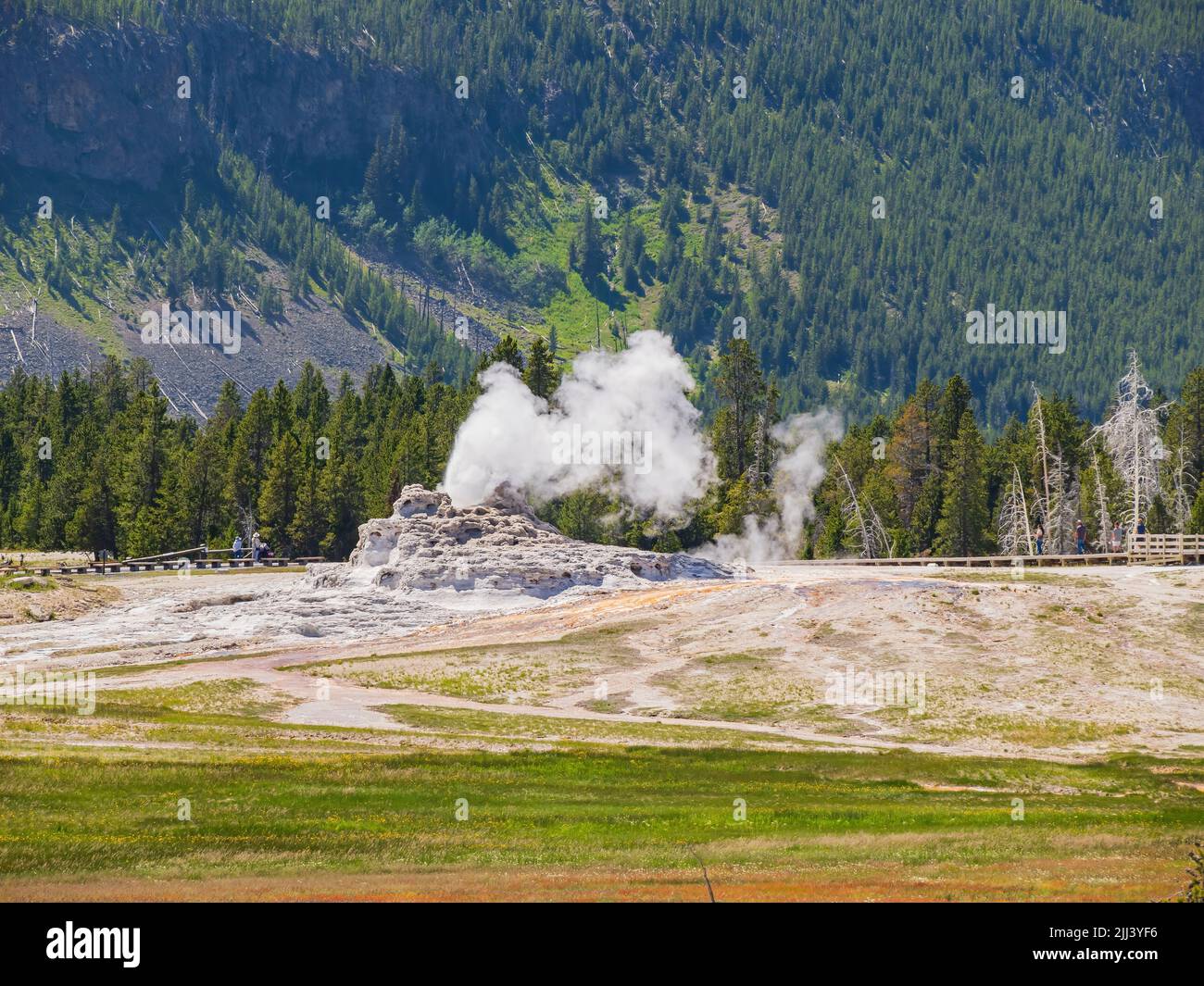 Sunny view of the landscape of Castle Geyser at Wyoming Stock Photo - Alamy
