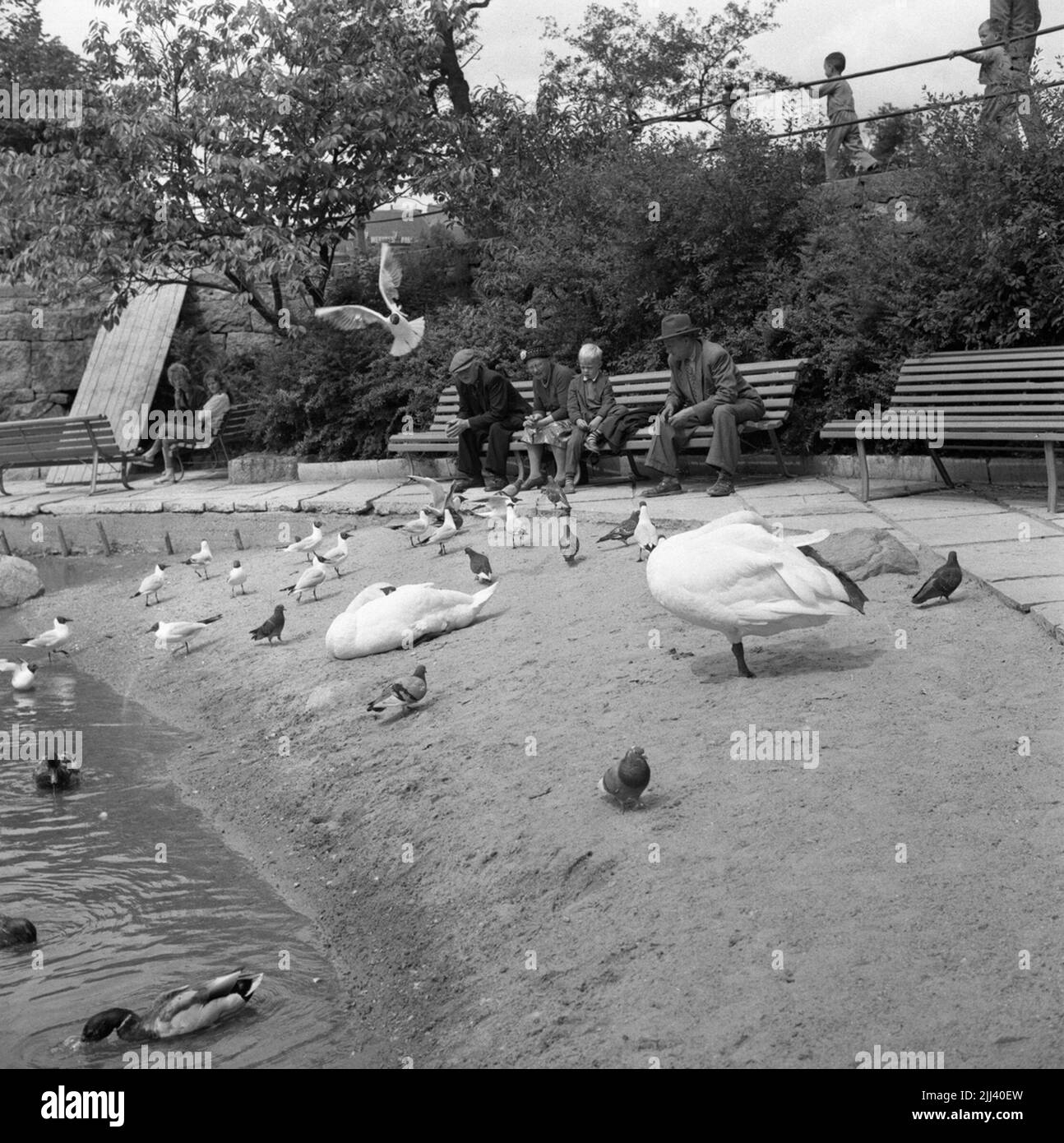12 june 1959 hi-res stock photography and images - Alamy