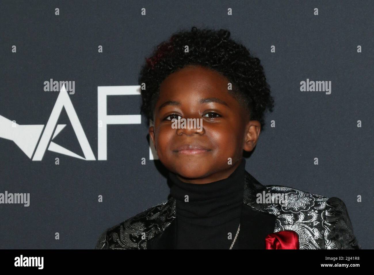 AFI Fest - Bruised Premiere at TCL Chinese Theater IMAX on November 13 ...