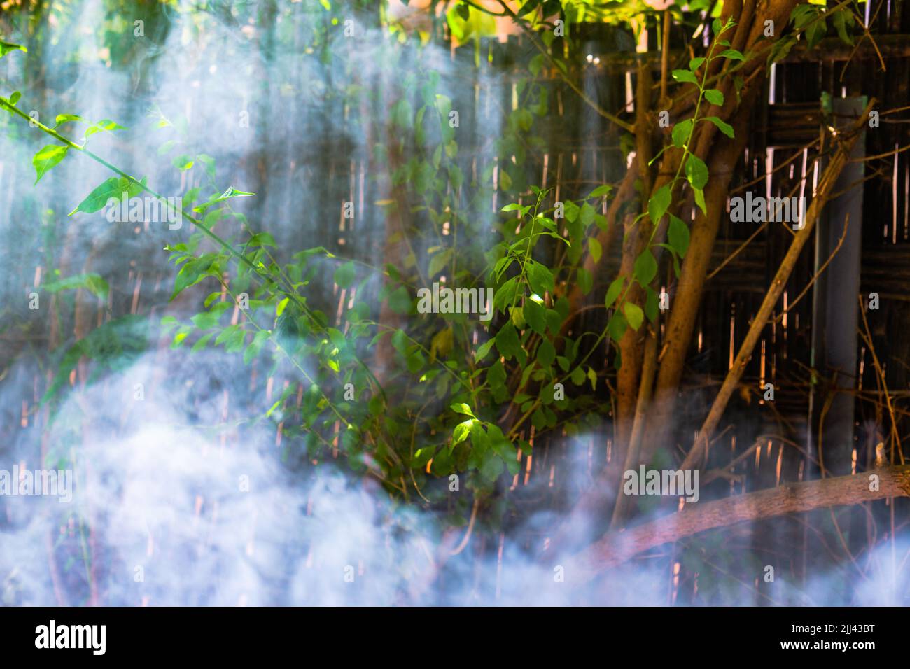 Smoke sun light rays in hi-res stock photography and images - Alamy