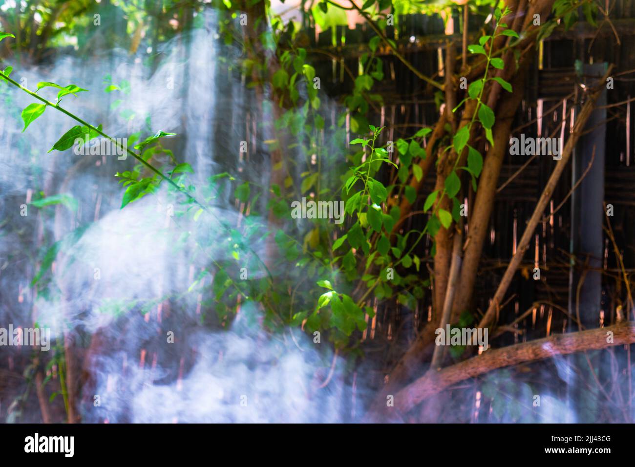 Sun rays in smoke hi-res stock photography and images - Alamy