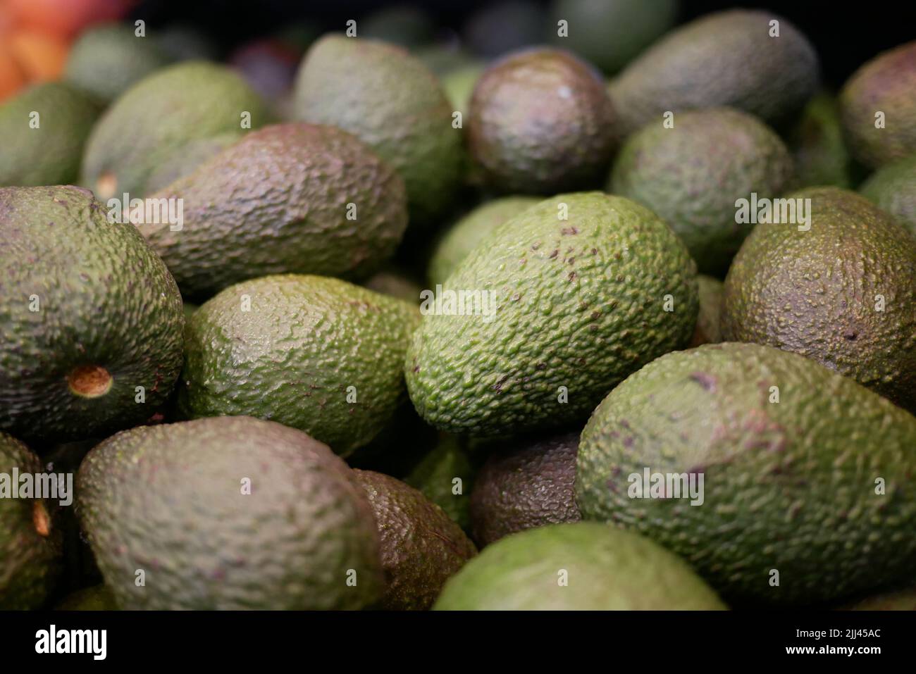 many avocado display for sale at local store Stock Photo - Alamy