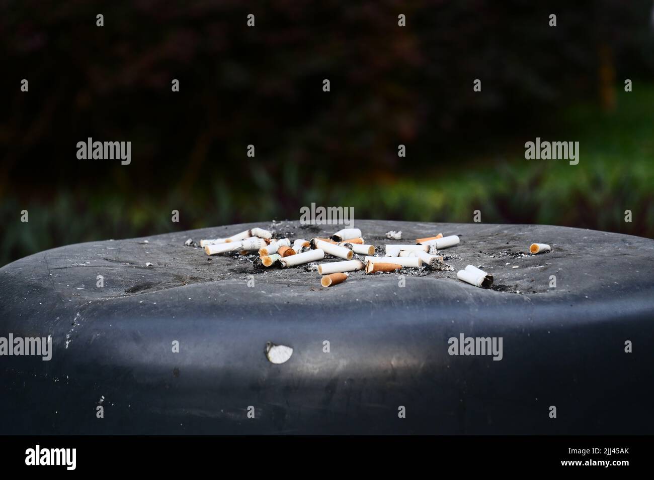 Waste bin for cigarettes hi-res stock photography and images - Alamy