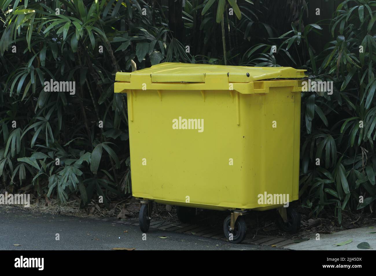 yellow color large waste bins outdoor Stock Photo - Alamy