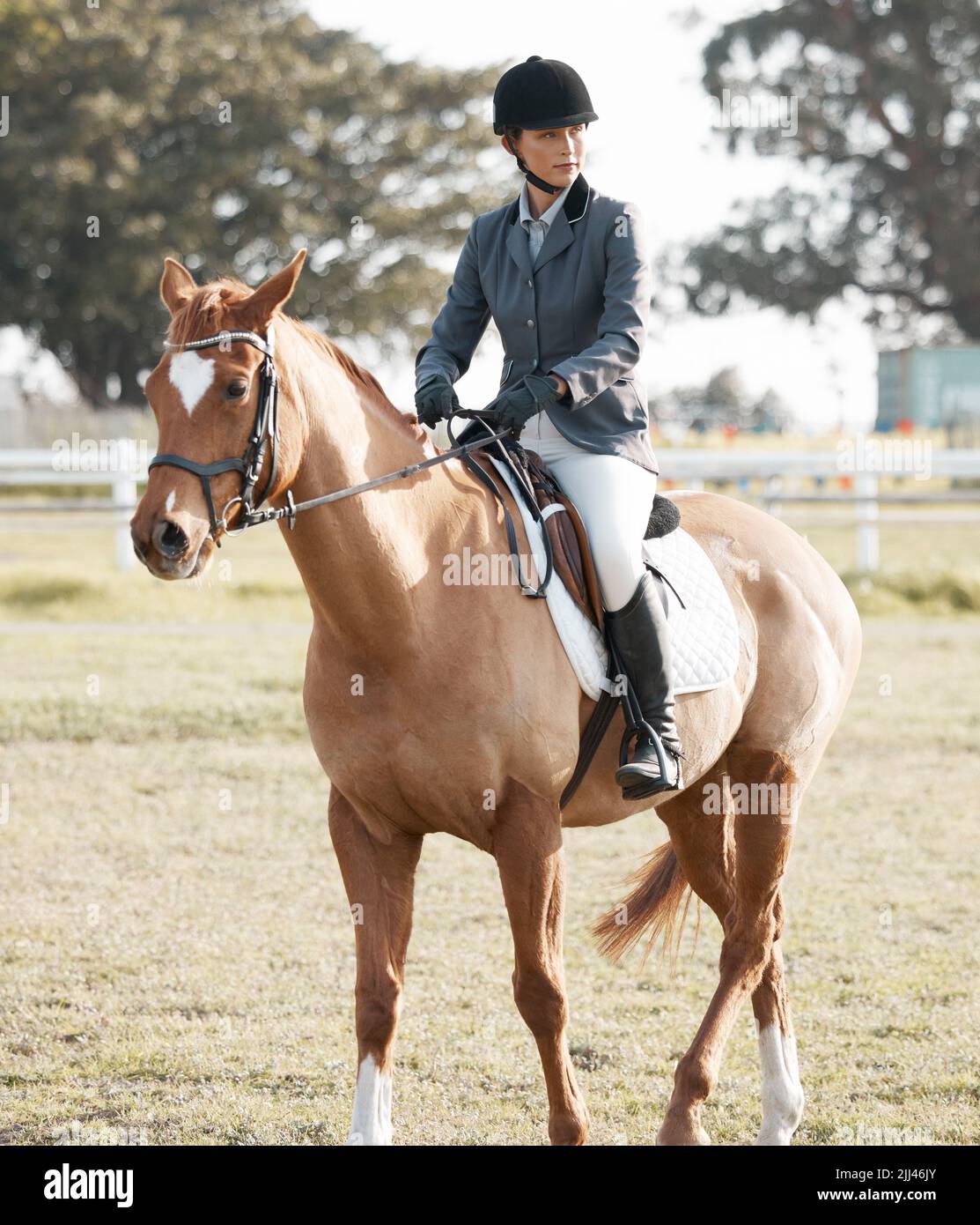 She loves horseriding. Full length shot of a young female jockey riding ...