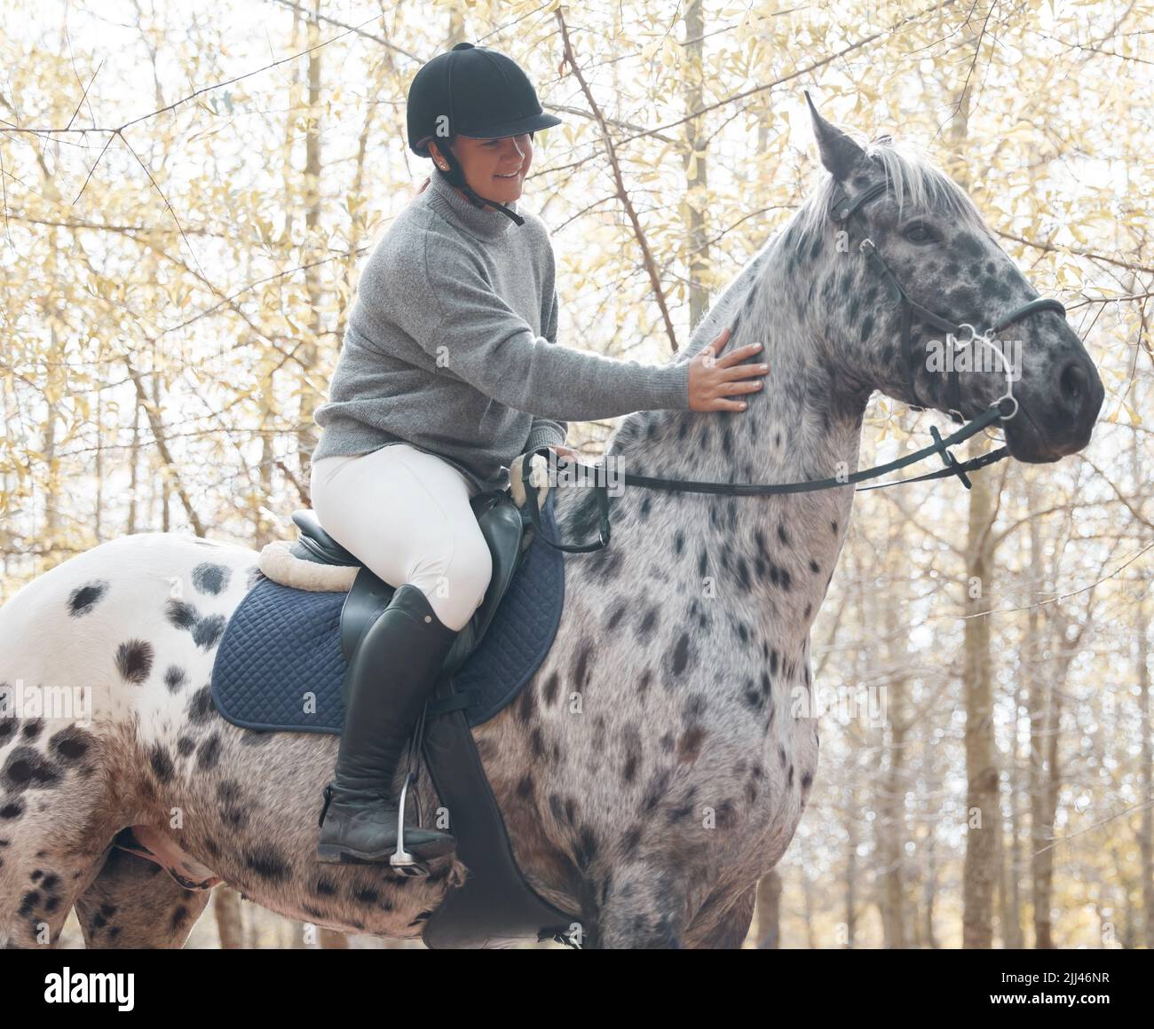 I am a hawk he trots the air. an attractive young woman riding with her ...