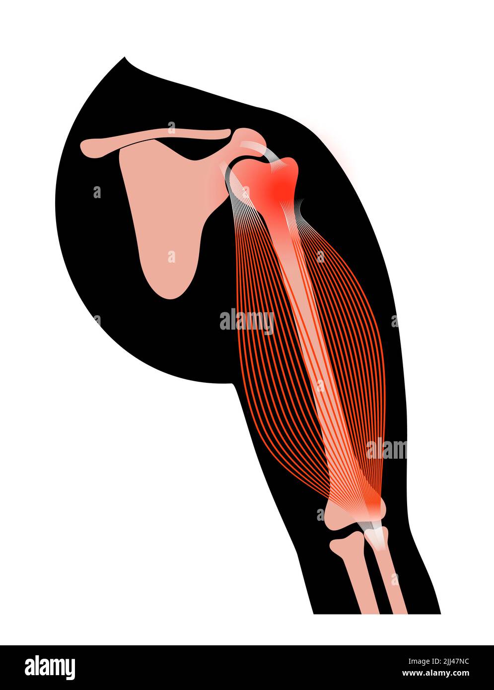 Man tear illustration hi-res stock photography and images - Alamy