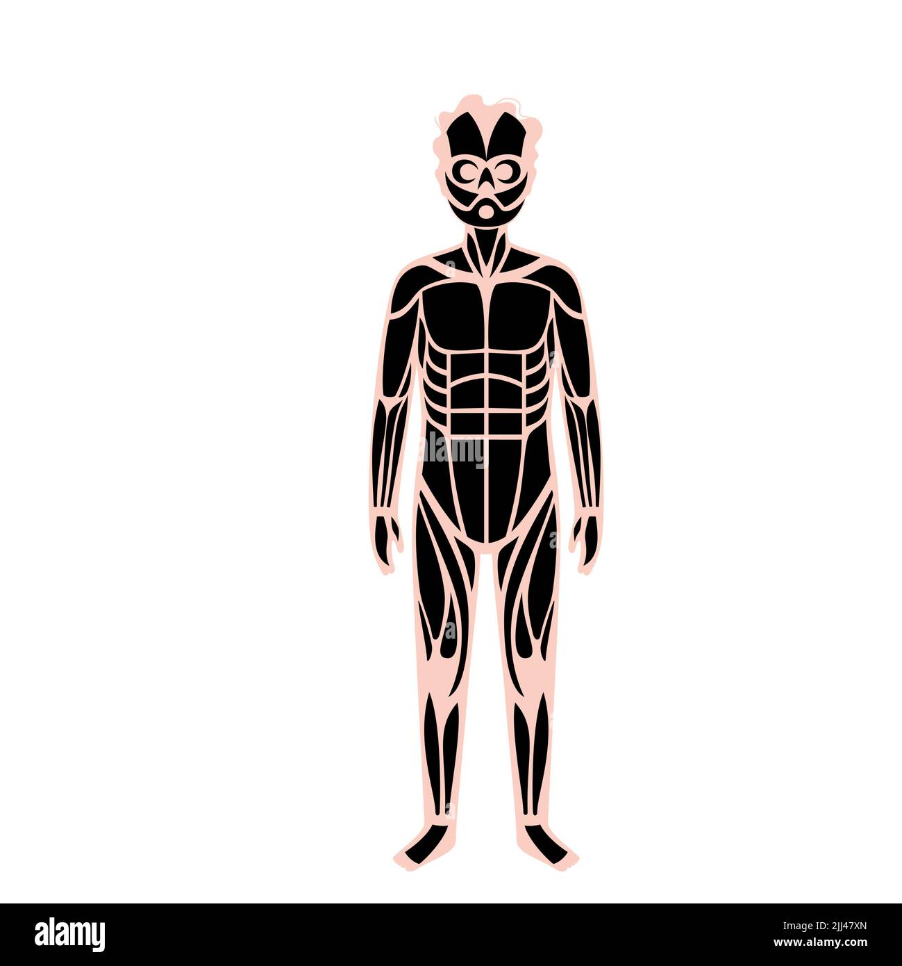 Boy anatomy chest Cut Out Stock Images & Pictures - Alamy