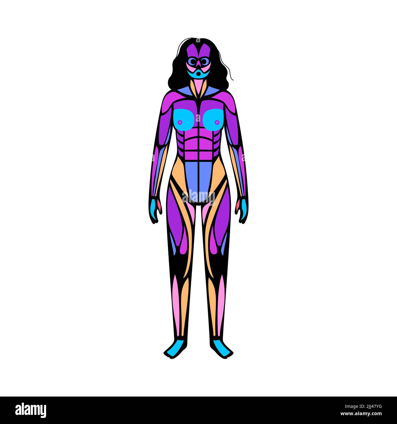 Muscular system of the chest hi-res stock photography and images - Alamy