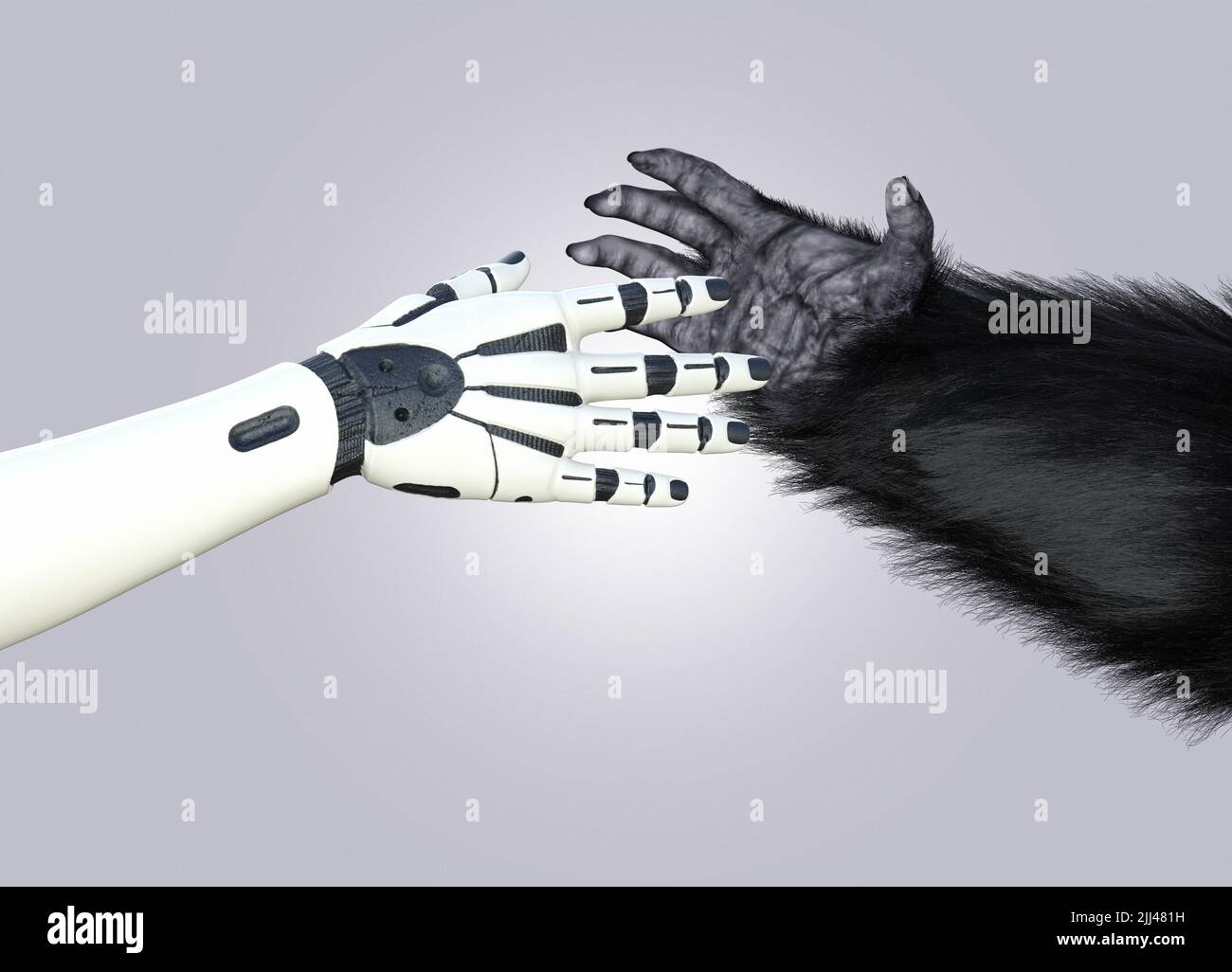 Ape hand hi-res stock photography and images - Alamy
