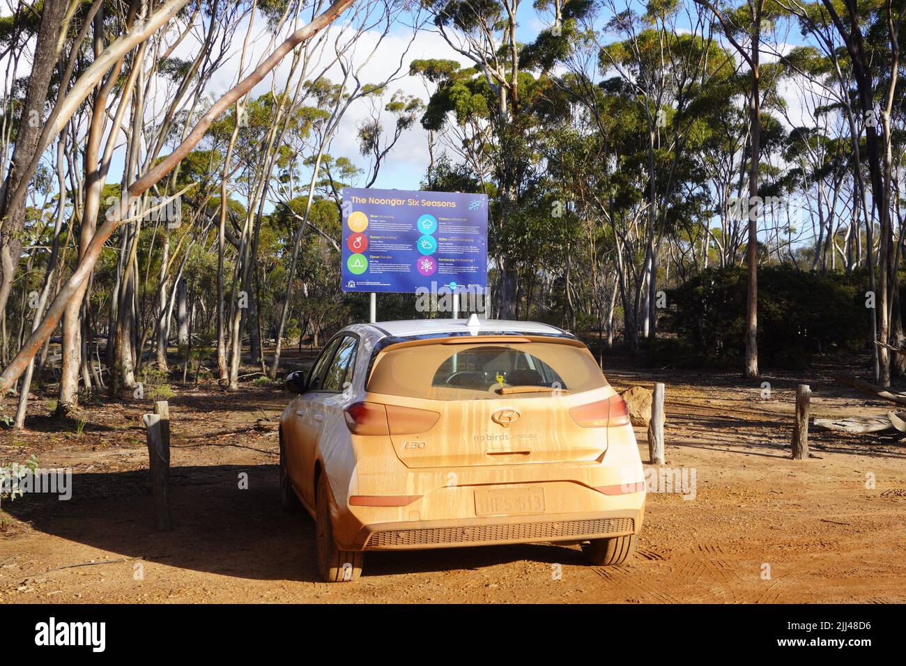 Rear View of a Car covered in Red Australian Outback Dust in the ...