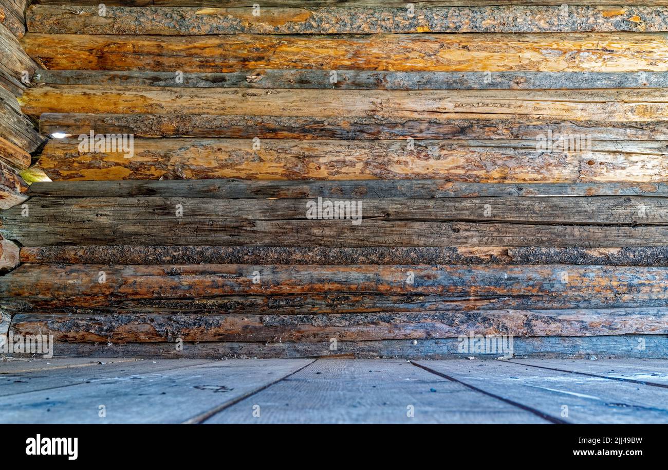 Low-angle view of the floor and interior wall of an abandoned log ...