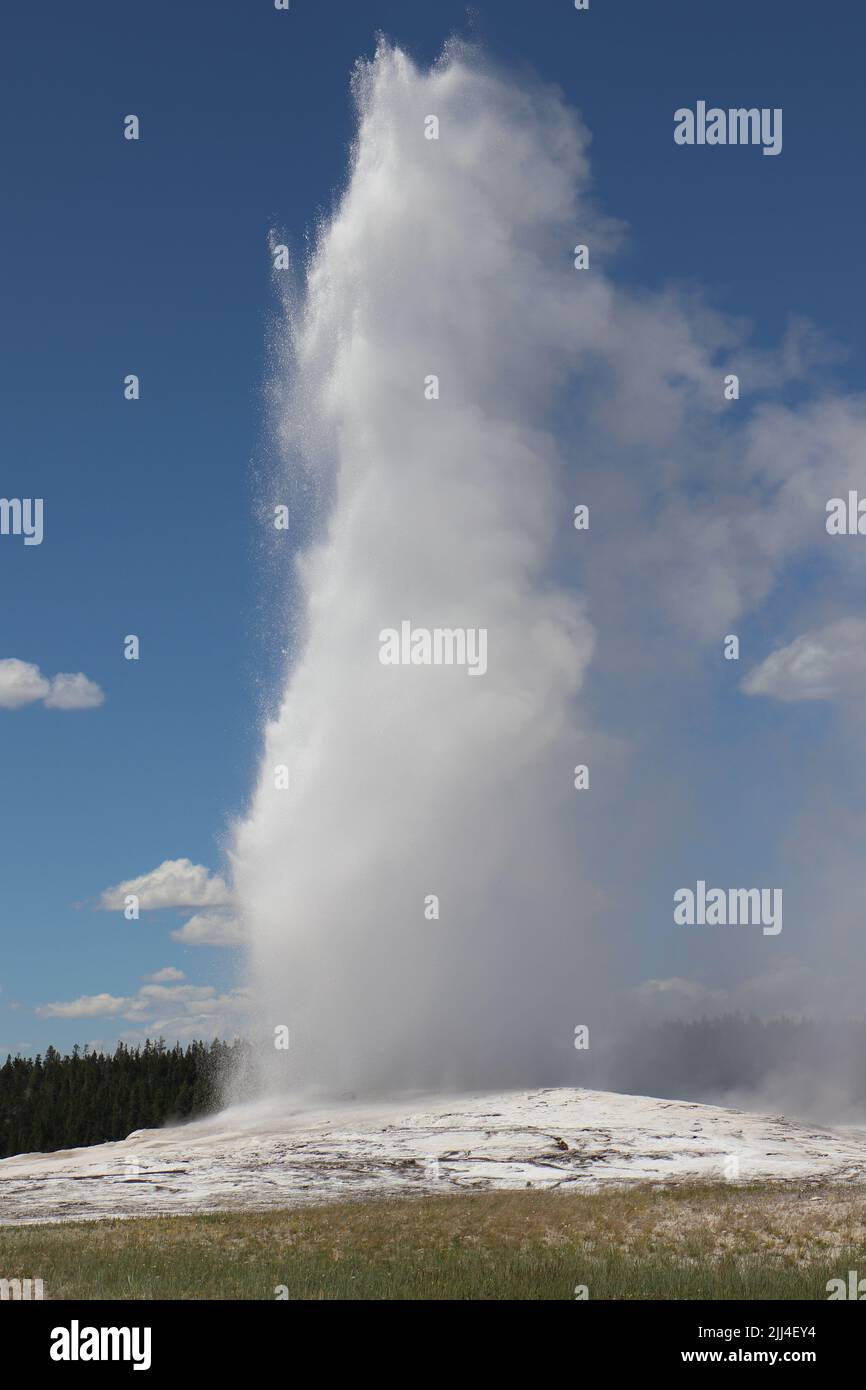 Old faithful eruption hi-res stock photography and images - Alamy