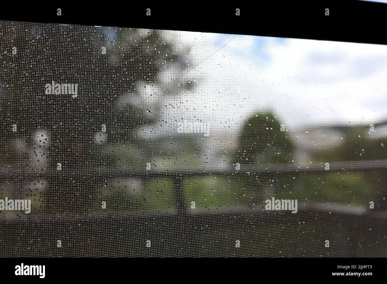 Water droplets on the screen door after the rain and the scenery ...