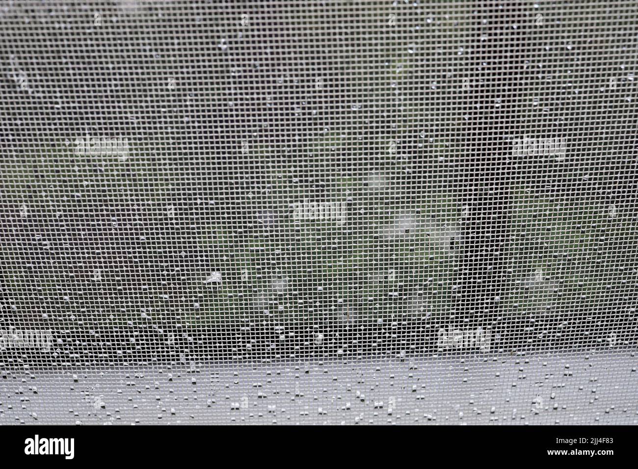 Water droplets on the screen door after the rain and the scenery ...