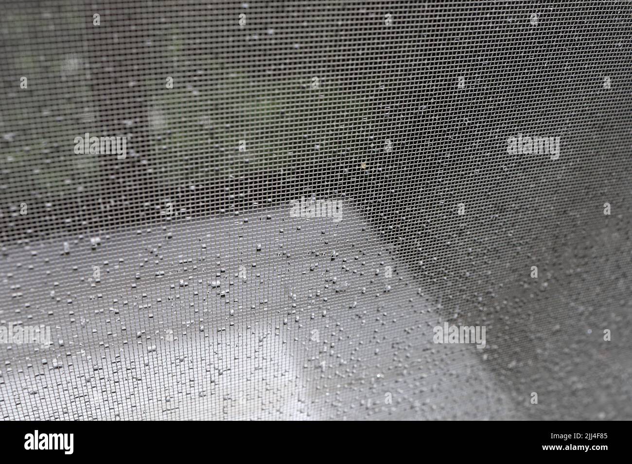 Water droplets on the screen door after the rain and the scenery ...