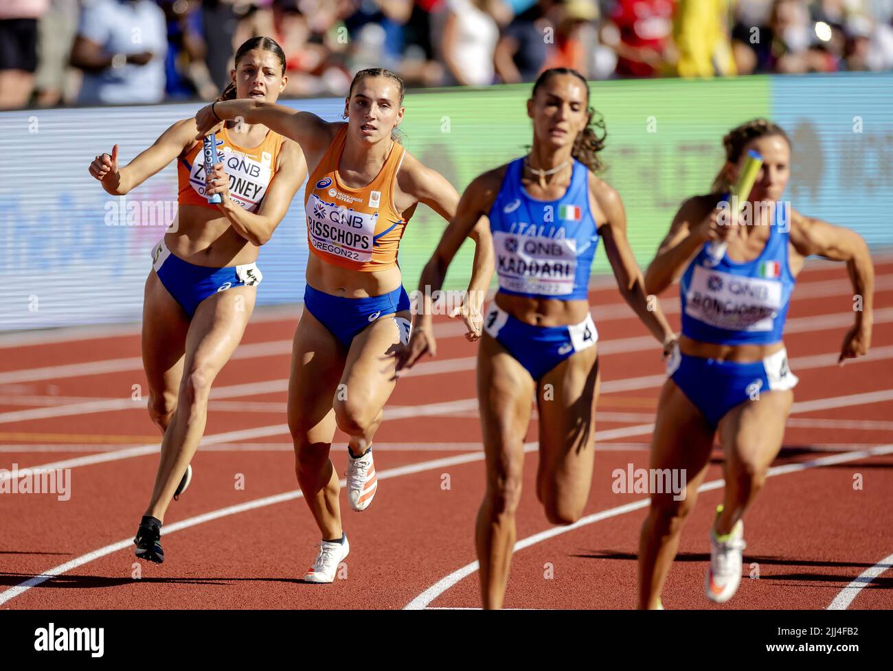 Minke bisschops hi-res stock photography and images - Alamy