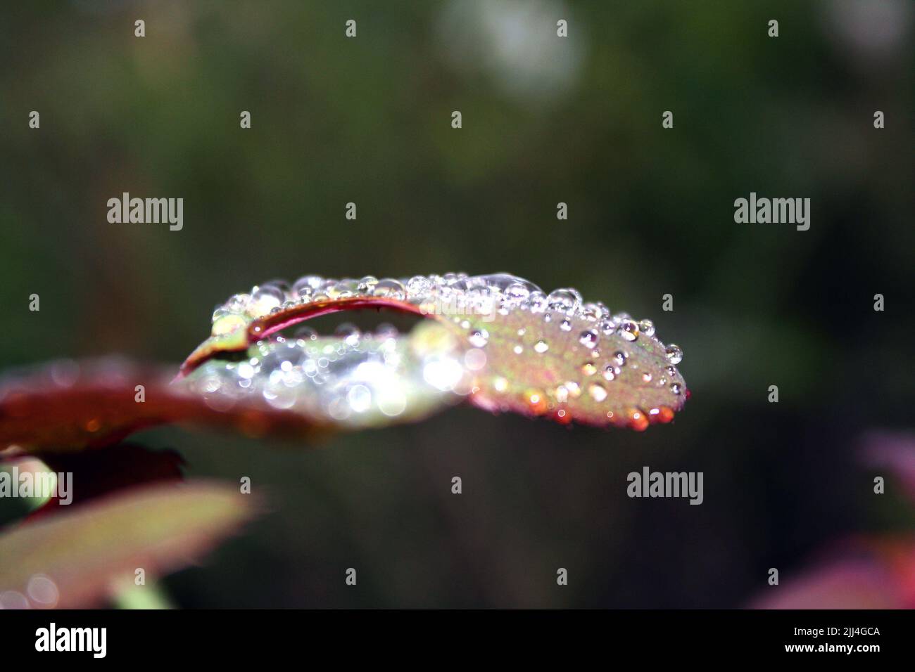 Sales rain hi-res stock photography and images - Alamy