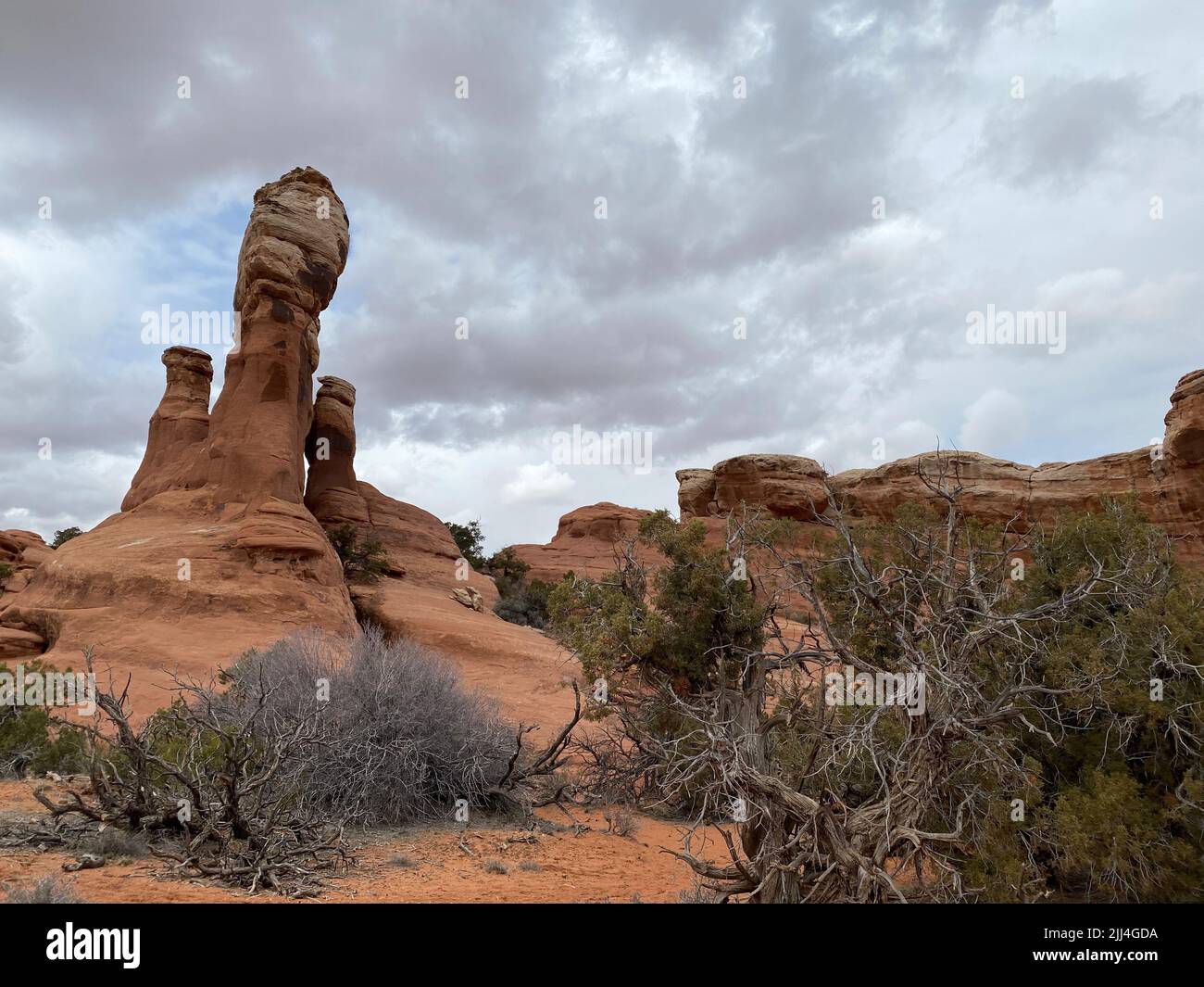 Photo of Hoodoos from the Broken Arch Trail near Sand Dune Arch ...