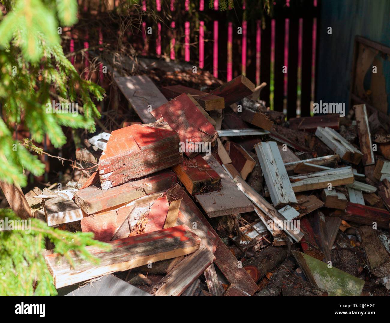 cut old boards left in mess in a backyard, summertime contrast shot ...