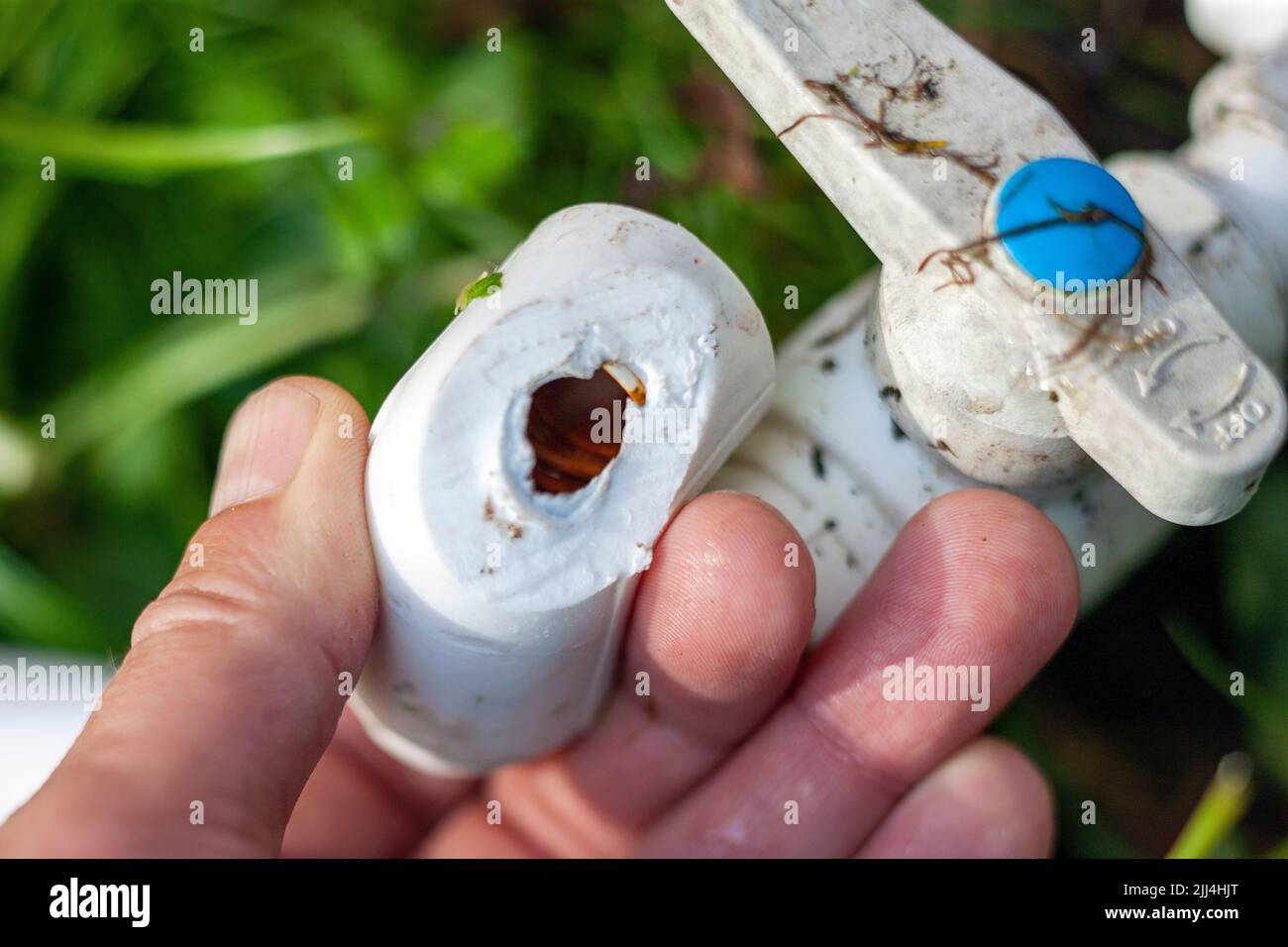 closeup shot of a male hand holding damaged pvc fitting Stock Photo - Alamy