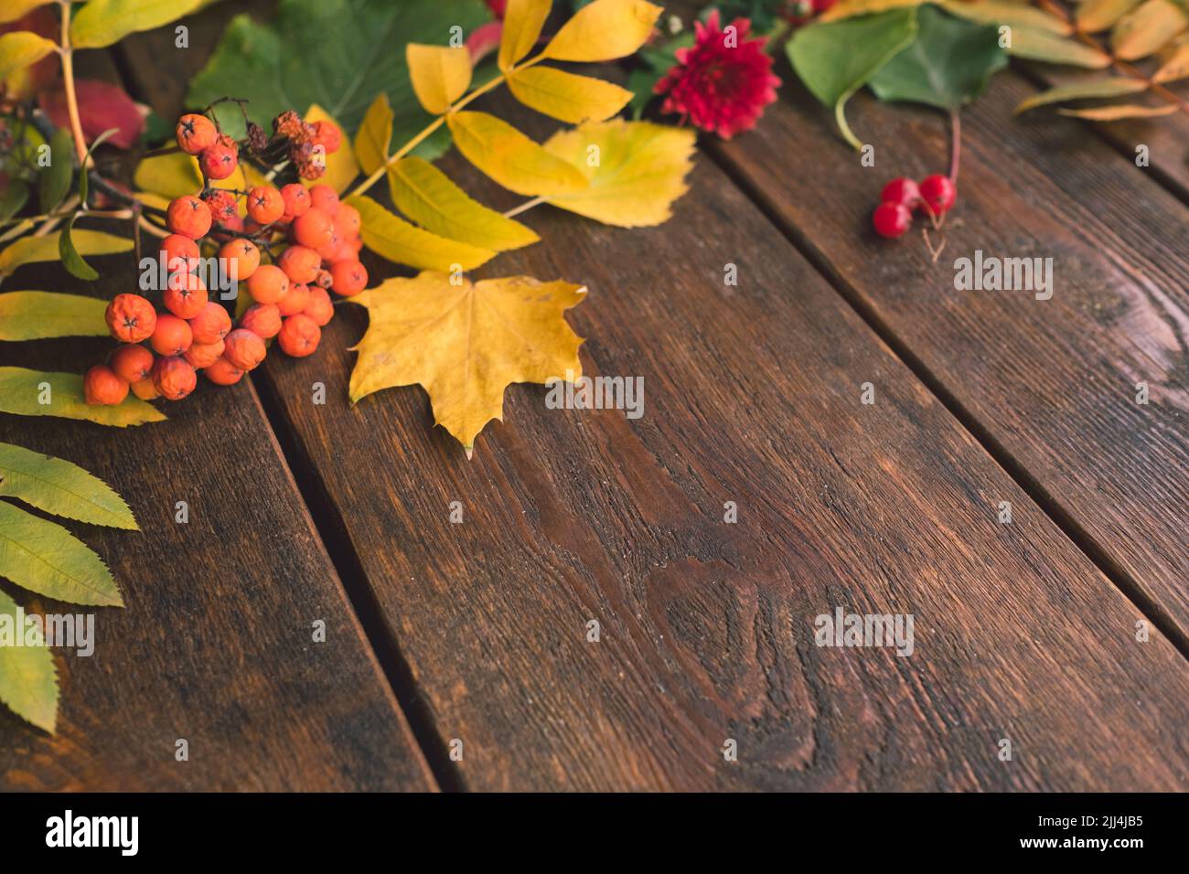 fall autumn leaves wooden background concept Stock Photo - Alamy