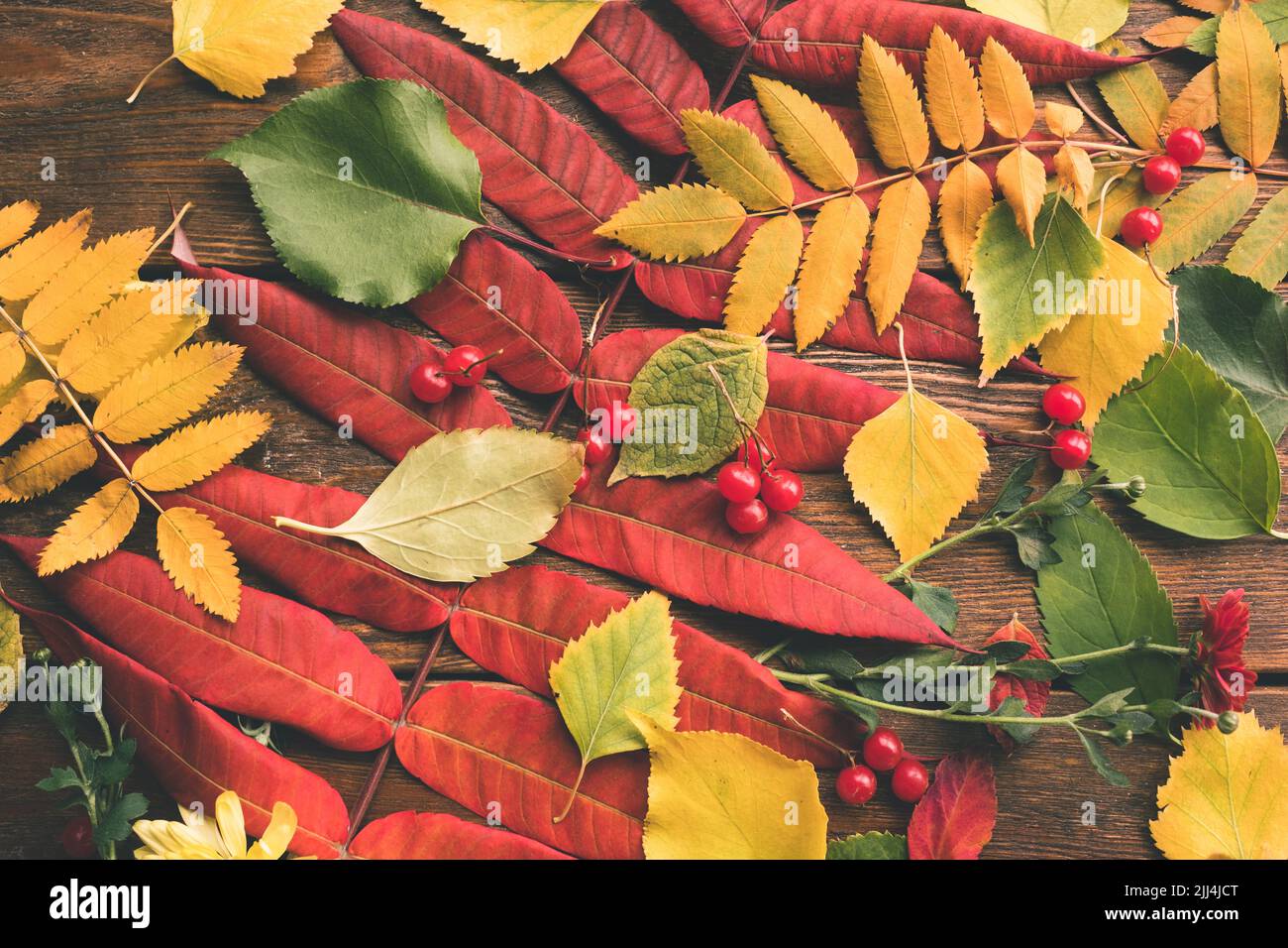 Abstract fall background hi-res stock photography and images - Alamy