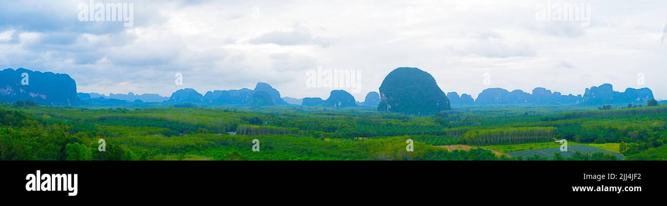 Panoramic view of mountains and green rice fields. View point of DIN ...