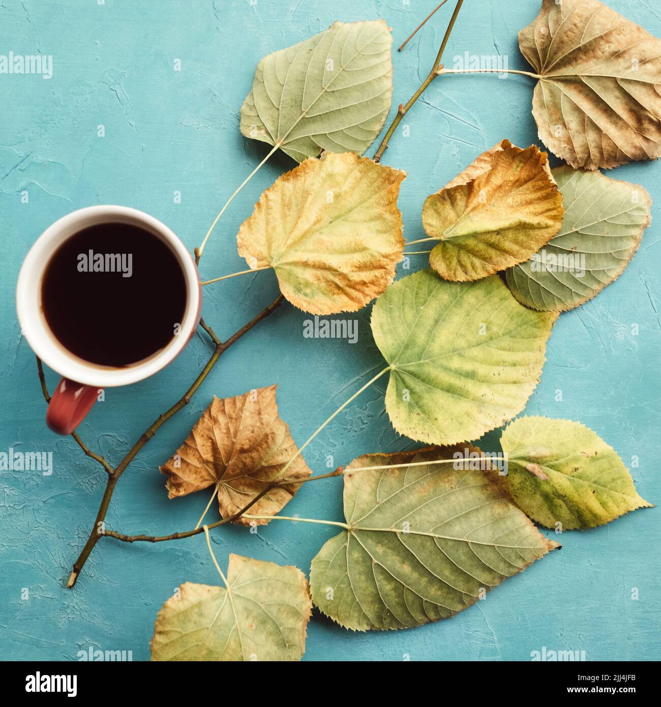 Fall season hot beverage hi-res stock photography and images - Alamy