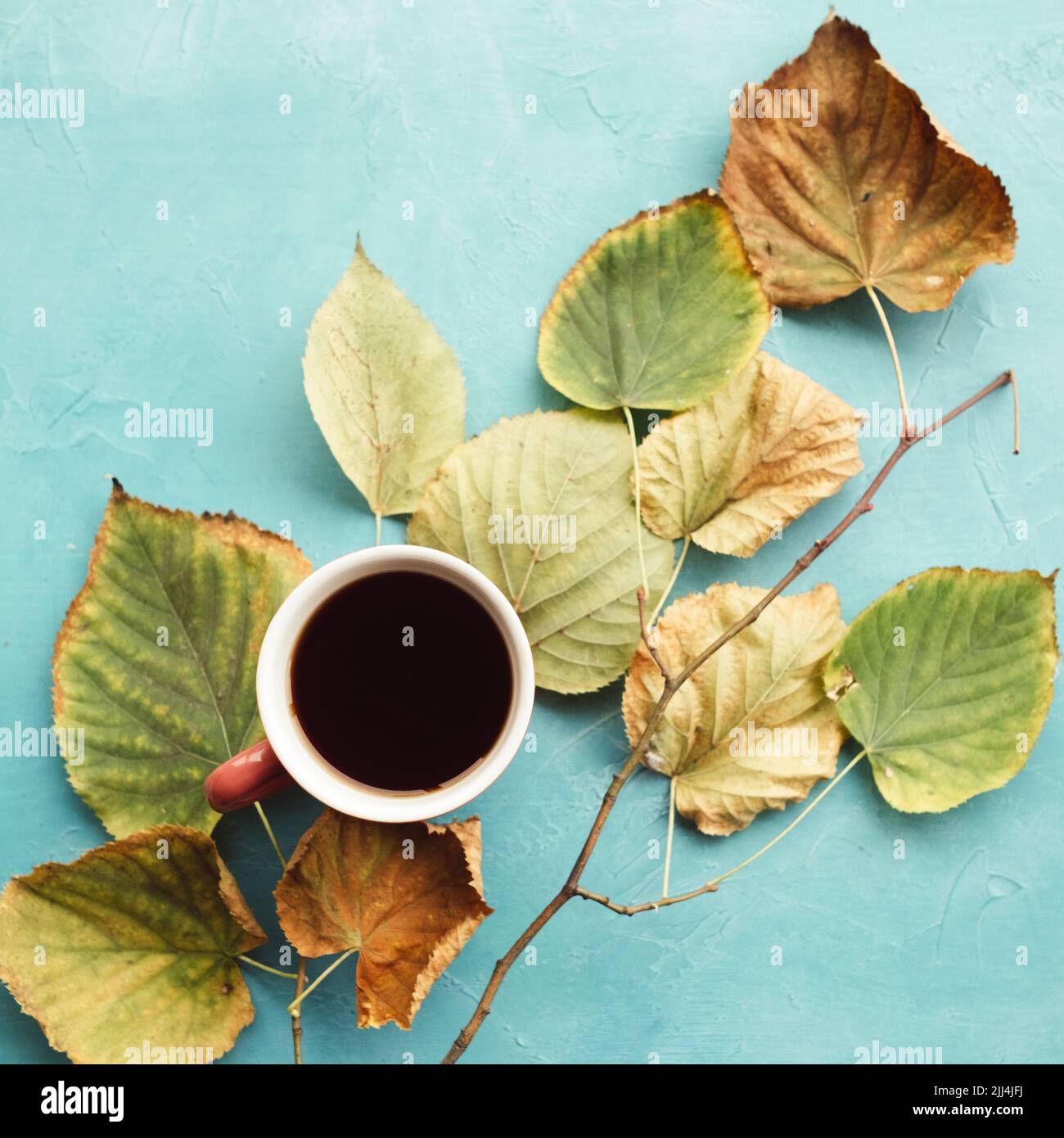 Fall season hot beverage hi-res stock photography and images - Alamy
