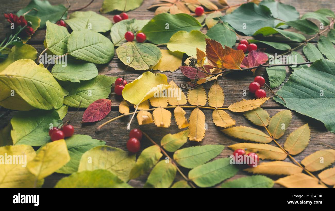 Abstract fall background hi-res stock photography and images - Alamy