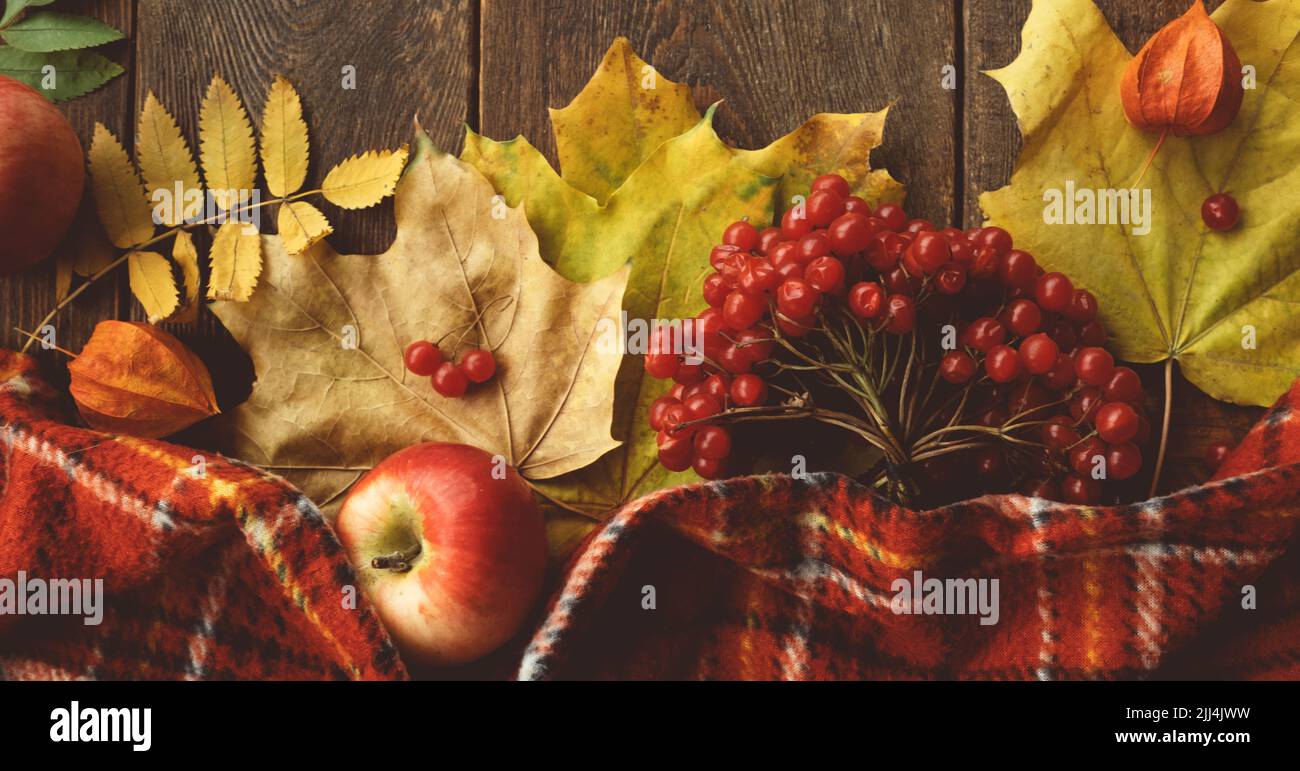 Autumn cozy ripe leaves mix wood surface concept Stock Photo - Alamy