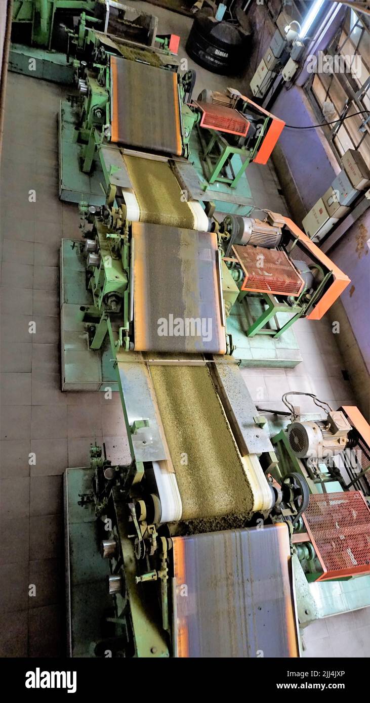 Ooty,Tamilnadu,India-April 30 2022: Assembly line of processing of tea ...