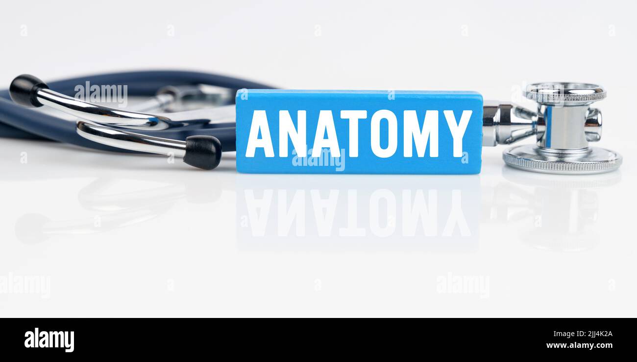 Medicine and health concept. On a white reflective surface is a ...
