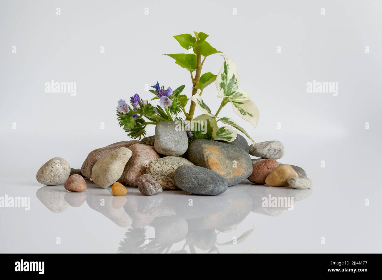 background with pebbles and plants. Minimal zen concept, isolated pile ...