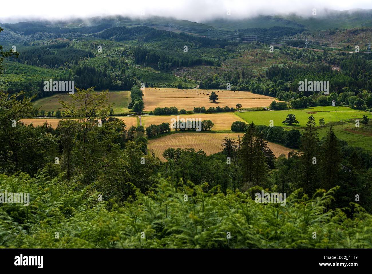 Landscape photography of countryside, field, farm, forest Stock Photo ...