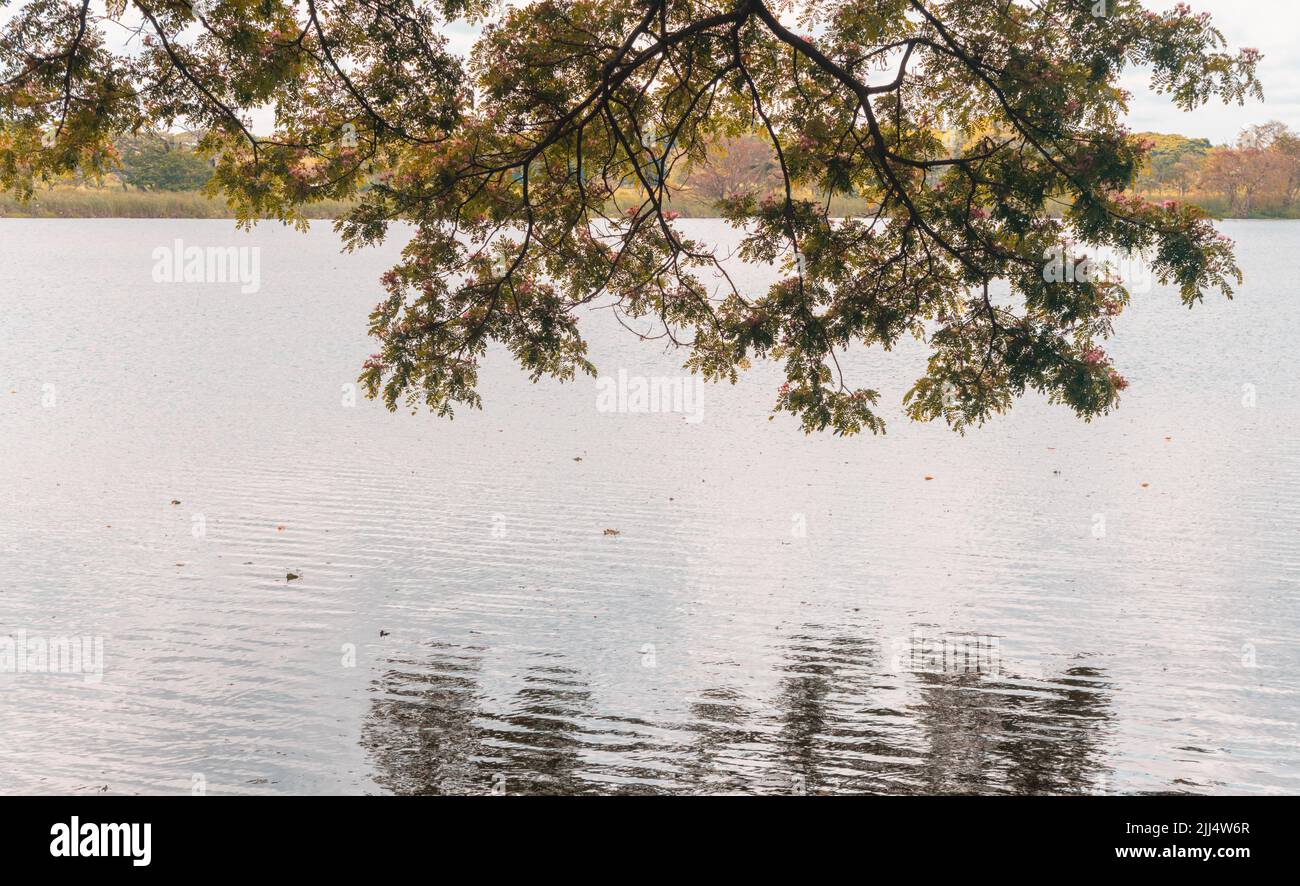 Photograph scenic landscapes natural hi-res stock photography and ...