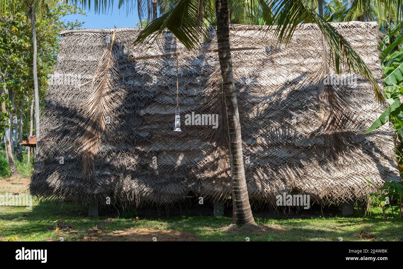 Coconut Tree Leaves Roof