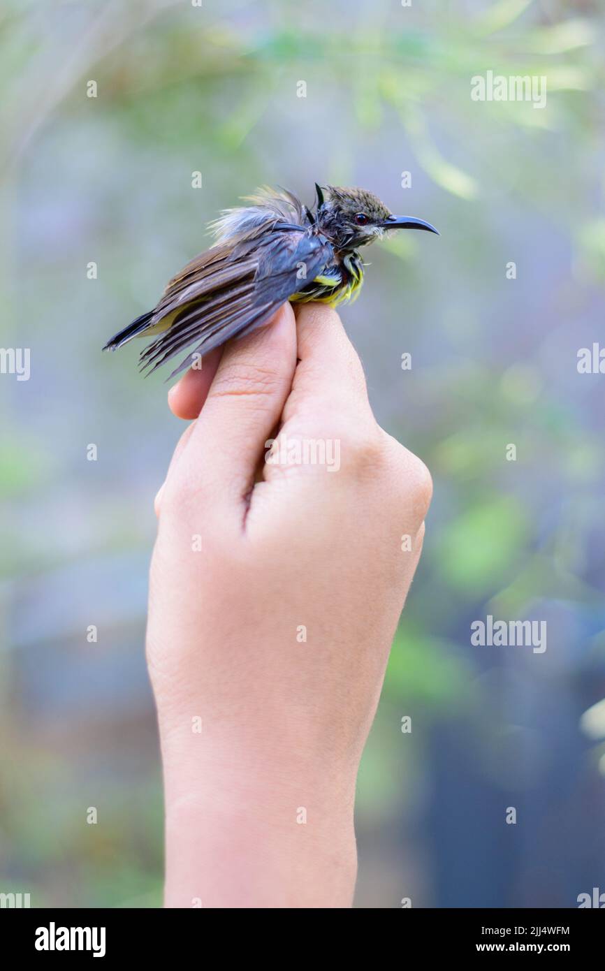 Caring human hi-res stock photography and images - Alamy