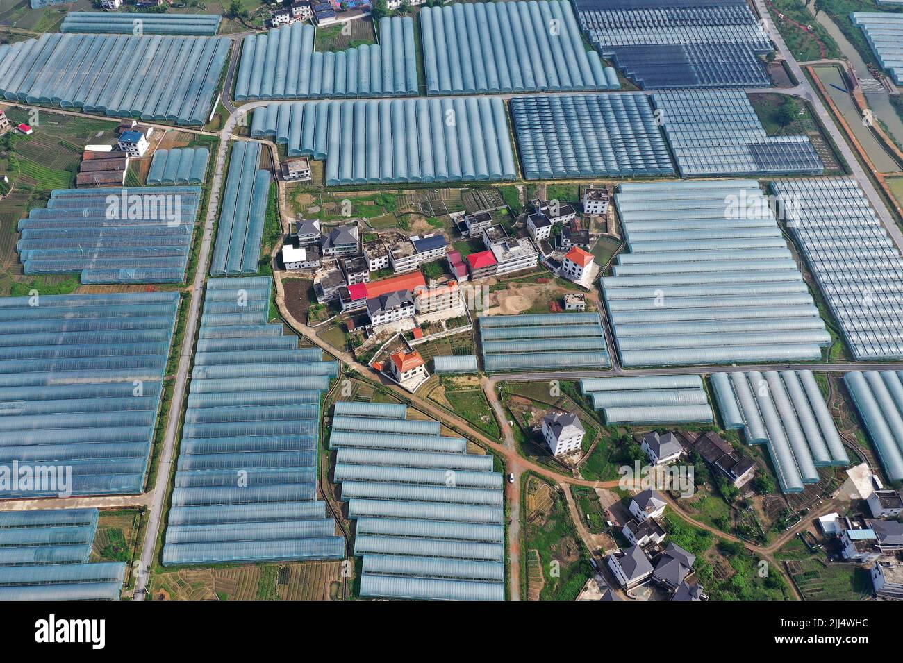 Wan planting hi-res stock photography and images - Alamy