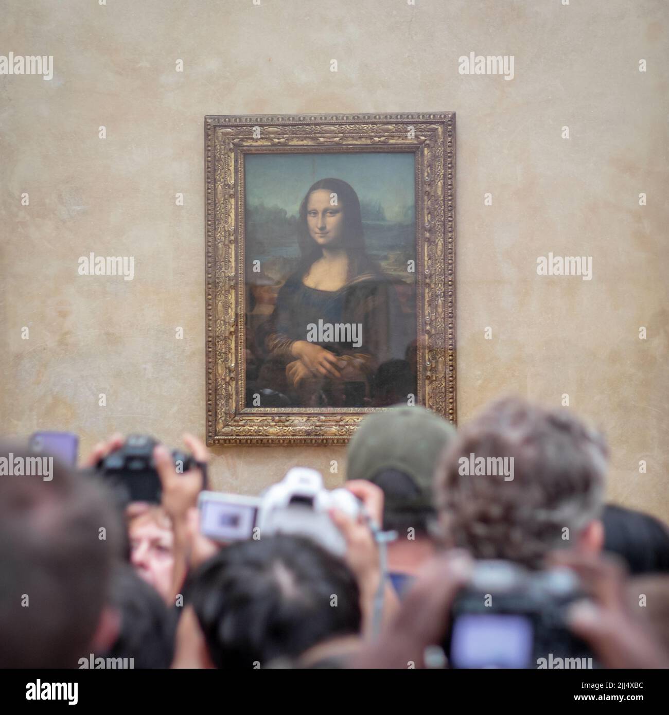 Mona lisa louvre museum crowd hi-res stock photography and images - Alamy