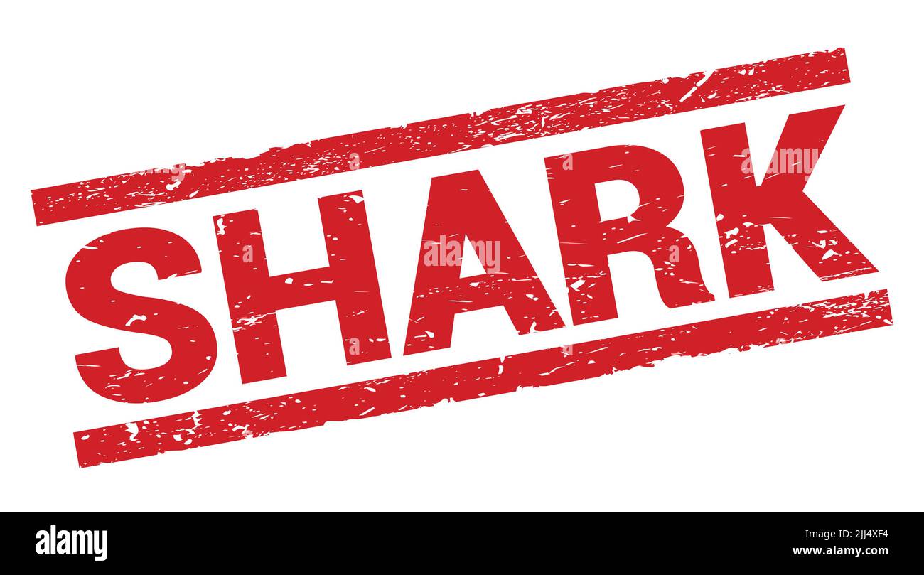 SHARK text written on red rectangle stamp sign Stock Photo - Alamy