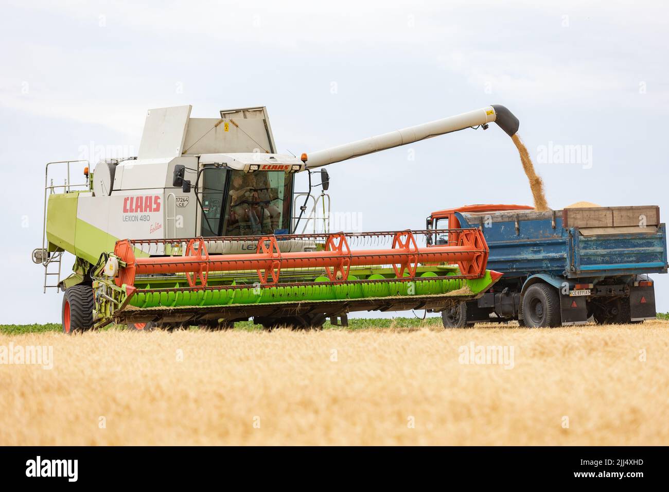 Harvester combine harvesting wheat and pouring it into dump truck ...
