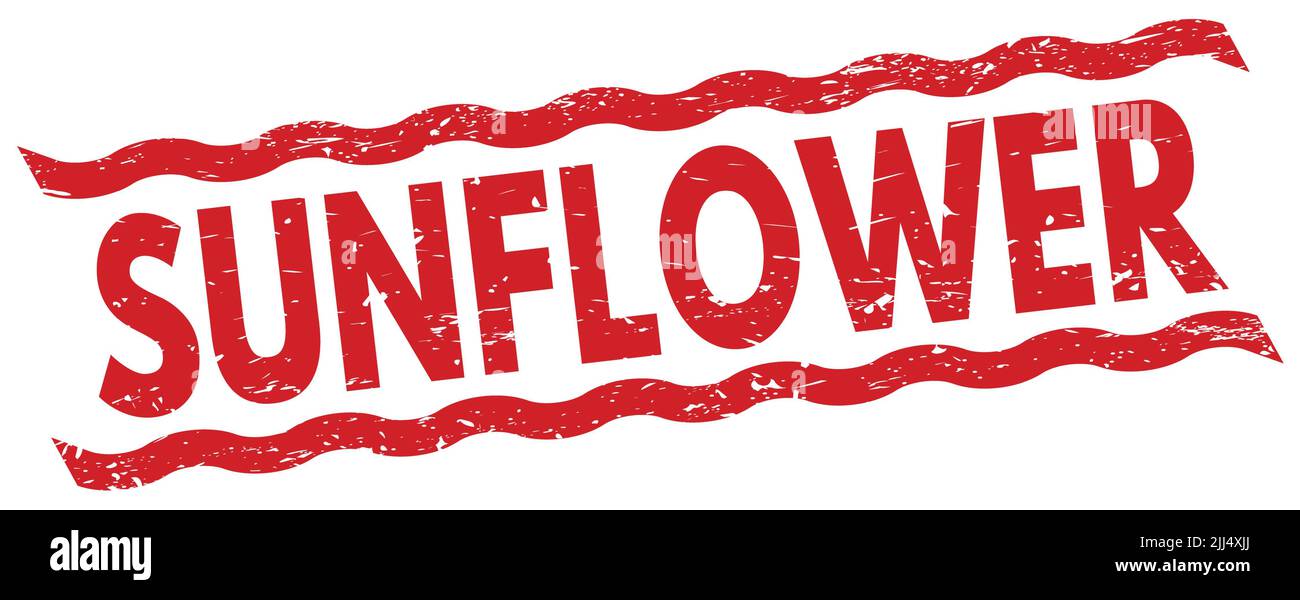 SUNFLOWER text written on red lines stamp sign Stock Photo - Alamy