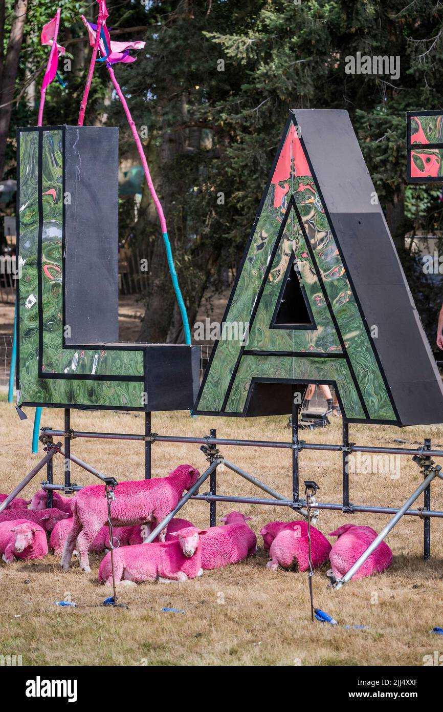 Henham Park, Suffolk, UK. 23rd July, 2022. The pink sheep take a ...