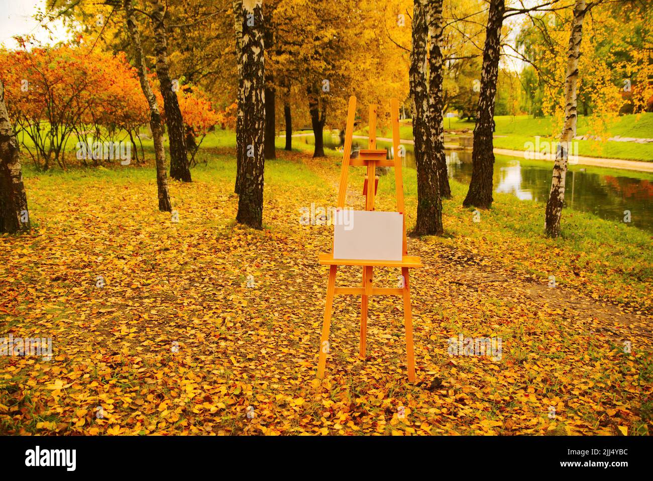 Autumn Landscape Drawing