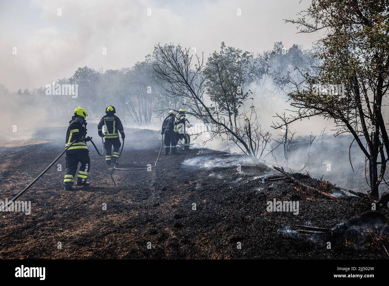 Firemen battle a large wildfire that burns near the village of Temnica ...