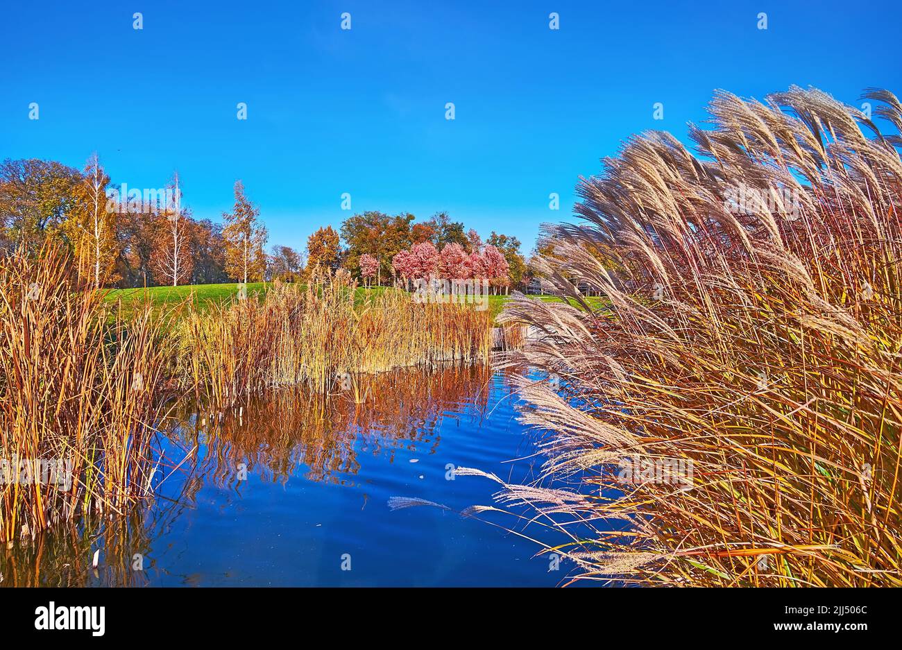 Small lake dry reed thickets hi-res stock photography and images - Alamy