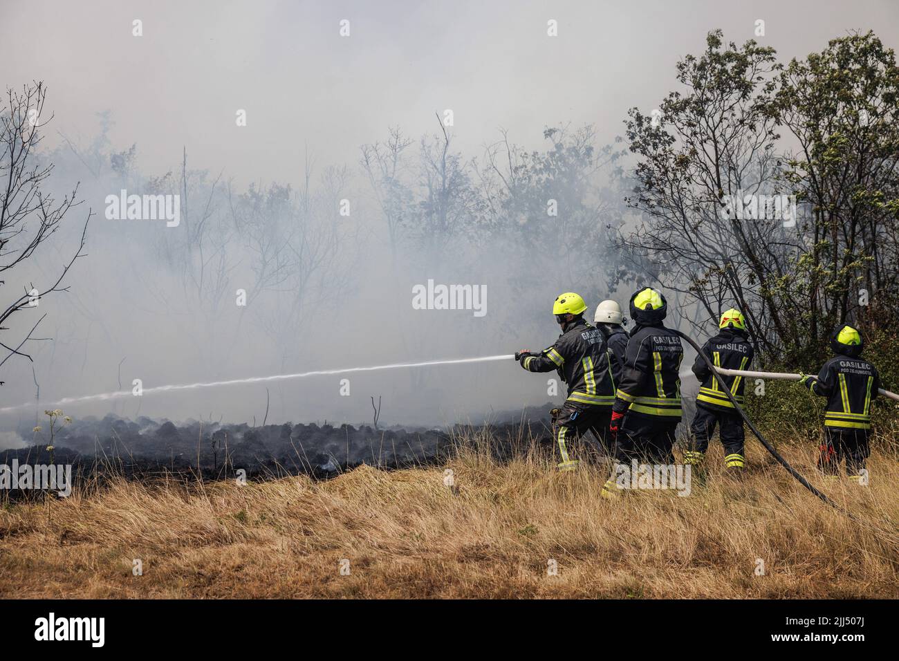 Firemen battle a large wildfire that burns near the village of Temnica ...