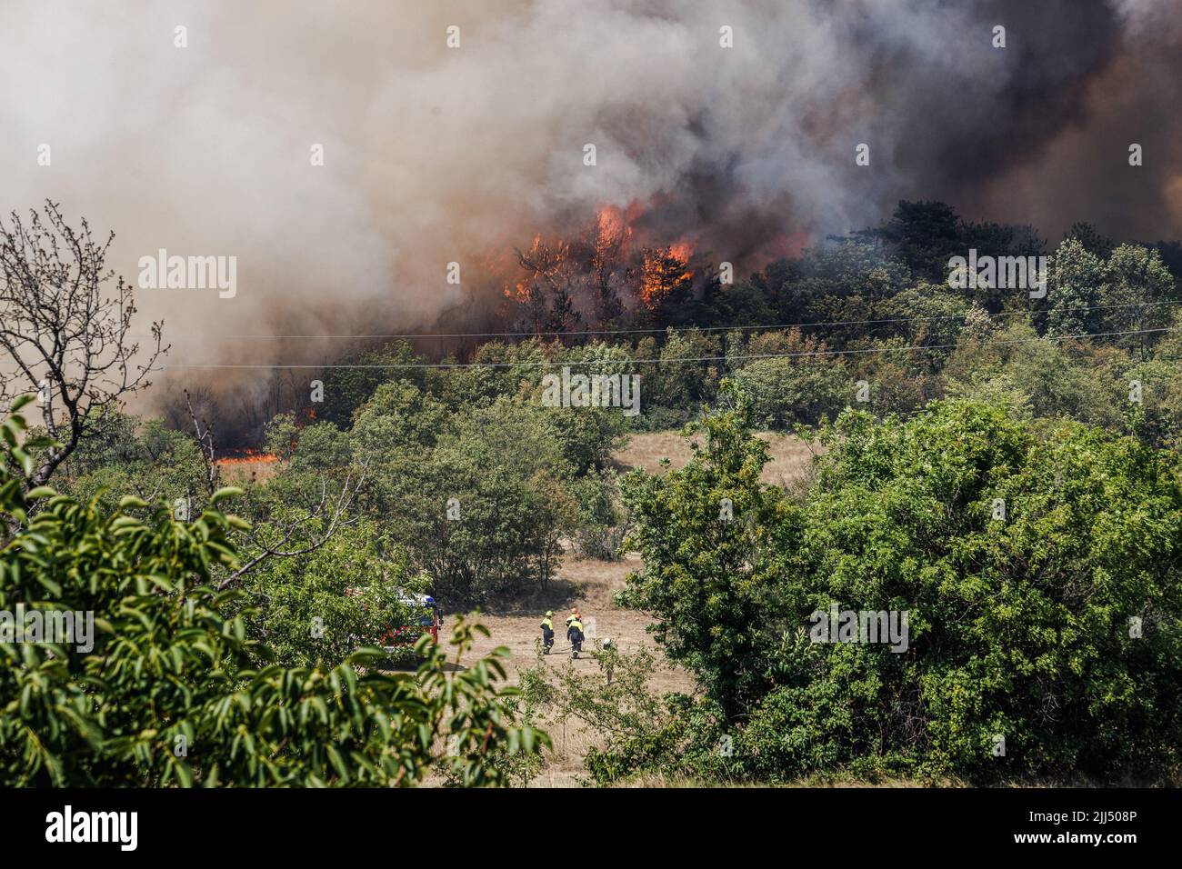 Firemen confront a large wildfire that burns near the village of Novelo ...